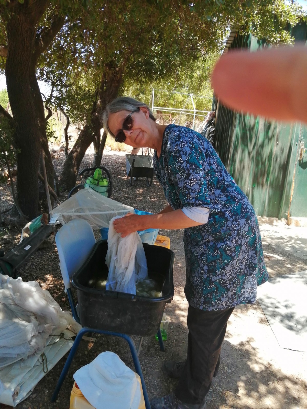 Rev Rowena Frances - Wells United Church - Sheep in Solitude - Sunday Hour